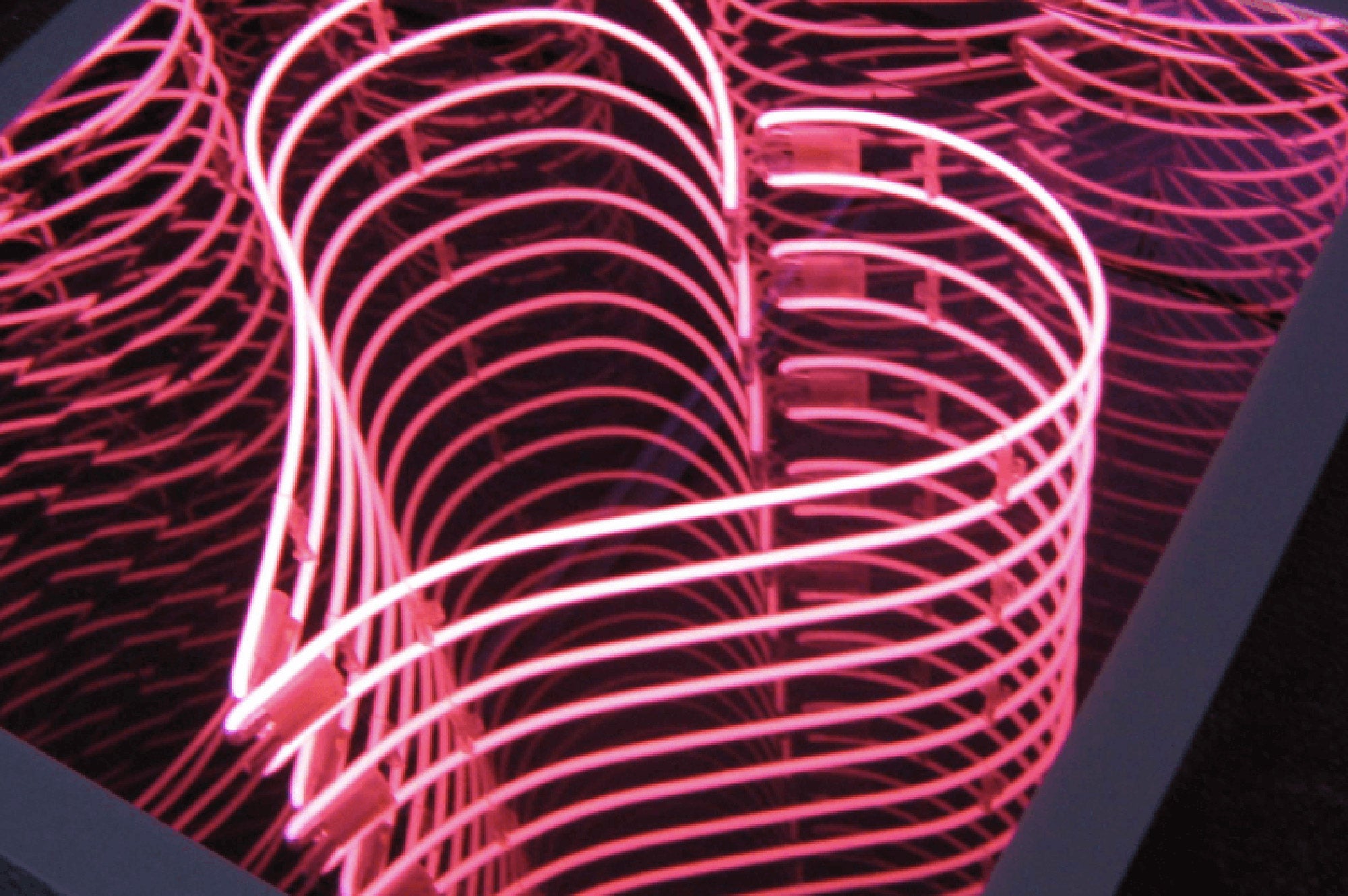 The Different Types of Neon Signs