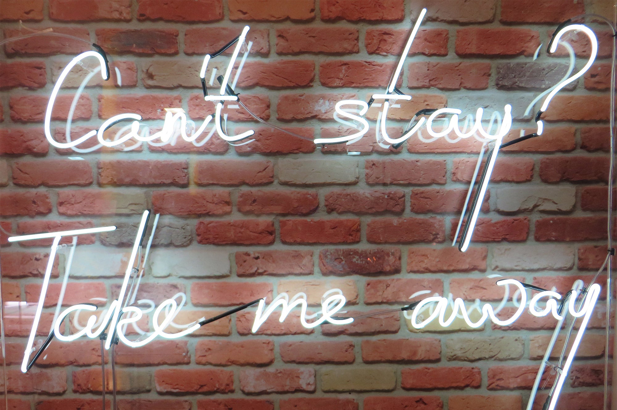 Missguided Neon Creations