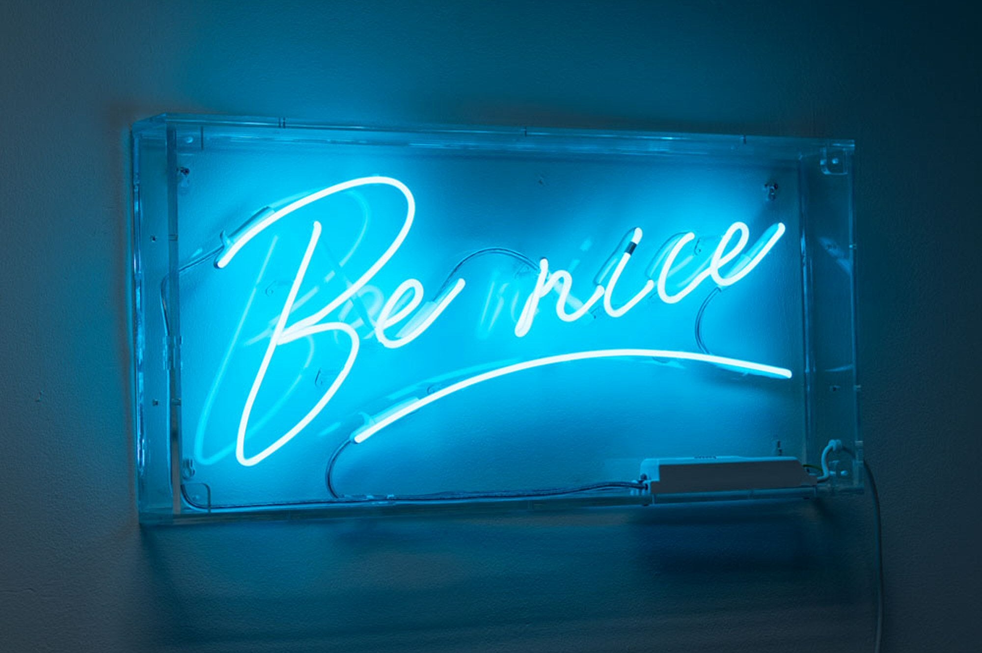 Custom "Be Nice" Neon Sign | Neon Creations