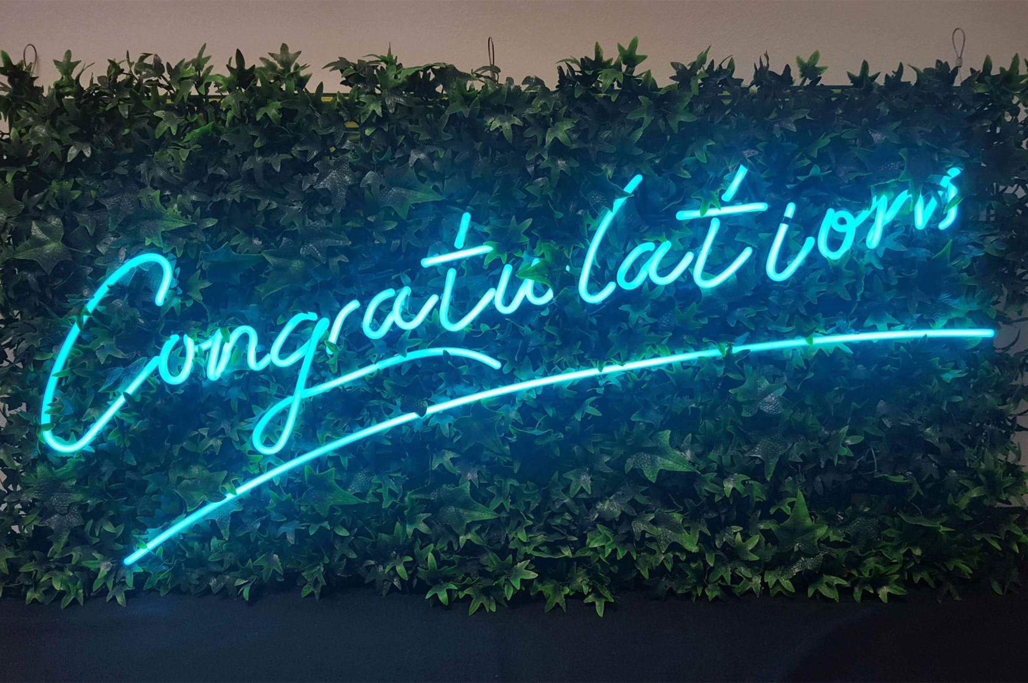 "Congratulations" Neon Sign for Hire | Neon Creations
